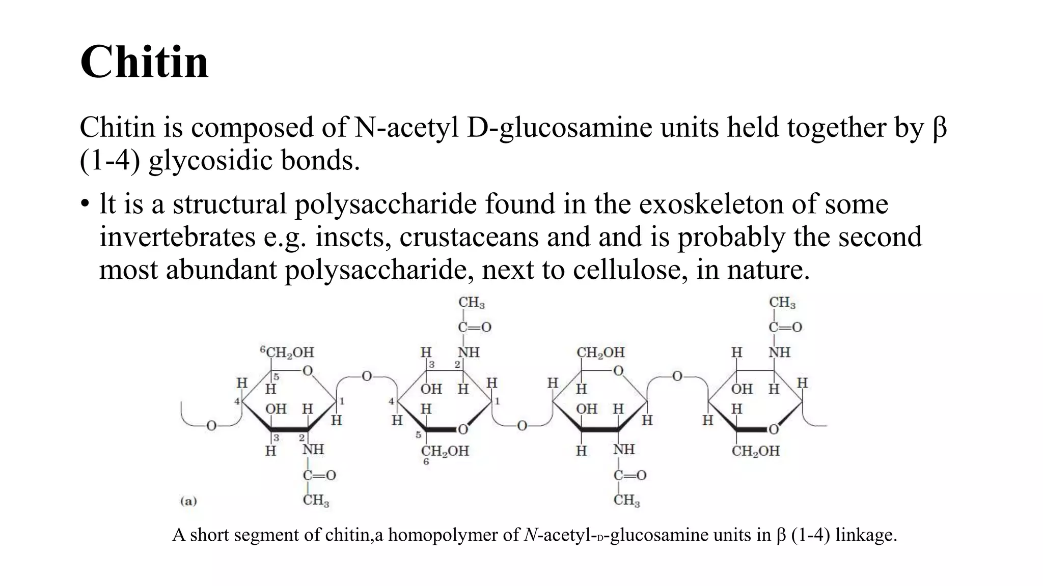 Biochemistry of Carbohydrates | PPTX