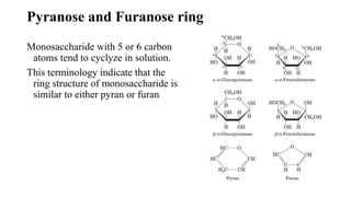 Biochemistry of Carbohydrates | PPTX