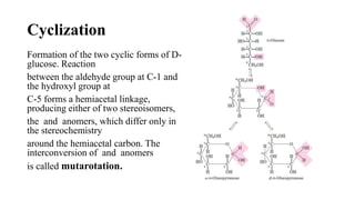 Biochemistry of Carbohydrates | PPTX