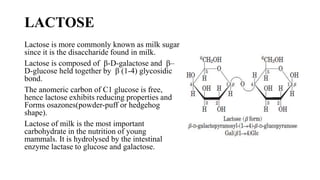 Biochemistry of Carbohydrates | PPTX