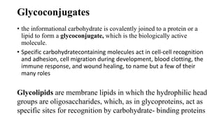 Biochemistry of Carbohydrates | PPTX