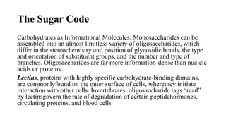 Biochemistry of Carbohydrates | PPTX