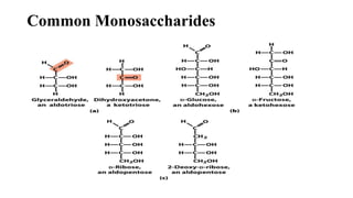 Biochemistry of Carbohydrates | PPTX