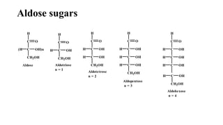 Biochemistry of Carbohydrates | PPTX