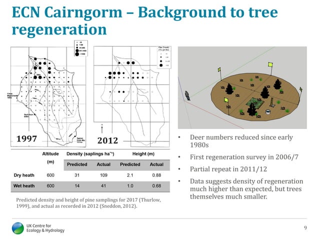 Devising a citizen science monitoring programme for tree regeneration ...