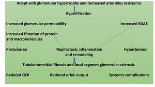 Presentation CKD 11.pptx