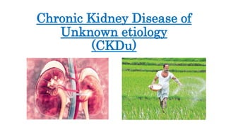 Presentation CKD 11.pptx