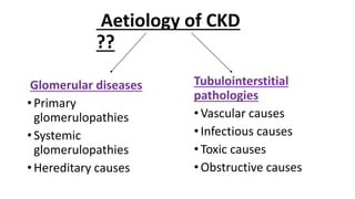 Presentation CKD 11.pptx