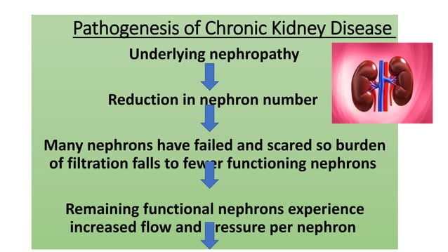 Presentation CKD 11.pptx
