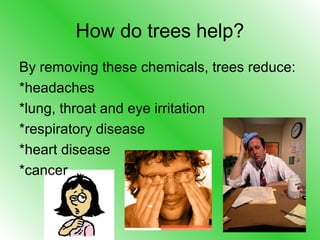 Role of Trees in Cleaning the Air | PPT