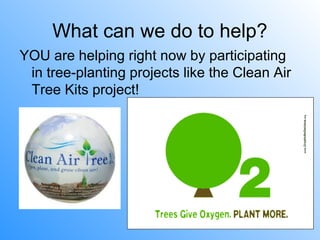 Role of Trees in Cleaning the Air | PPT