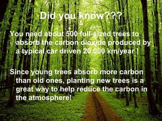 Role of Trees in Cleaning the Air | PPT