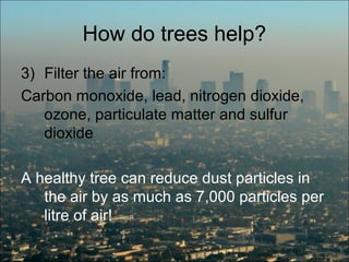 Role of Trees in Cleaning the Air | PPT