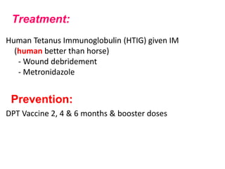 Clostridium - Prac. Microbiology | PPTX