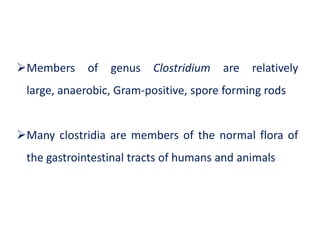 Clostridium - Prac. Microbiology | PPTX