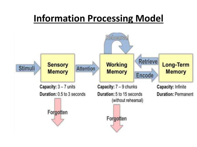 COGNITIVE LOAD THEORY (CLT) power point pptx | PPTX | Education