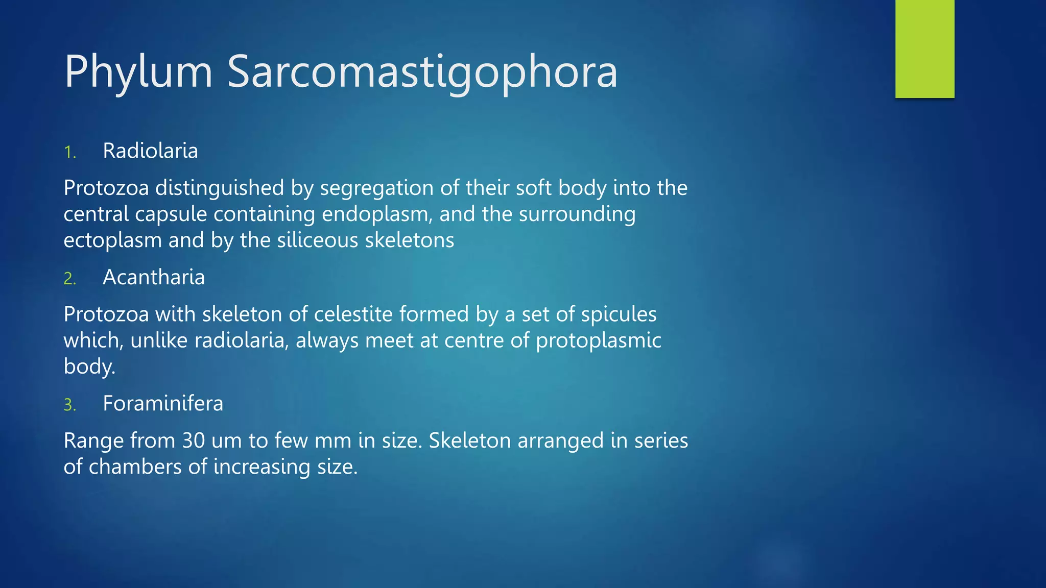 Presentation cmlre.pptx