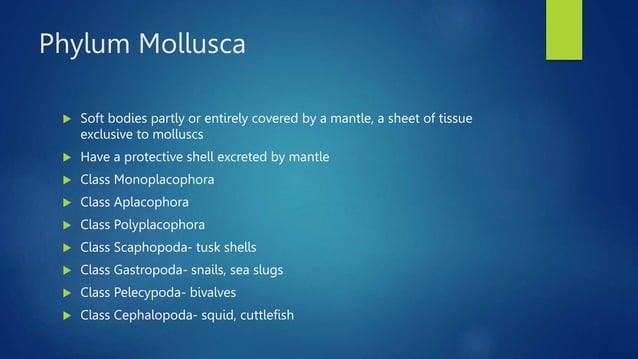 Presentation cmlre.pptx