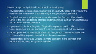 Presentation cmlre.pptx