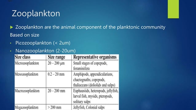 Presentation cmlre.pptx