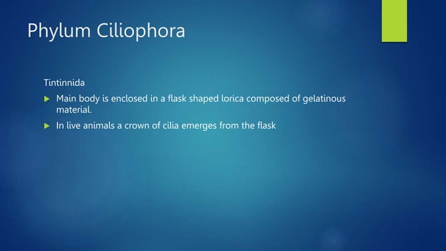 Presentation cmlre.pptx