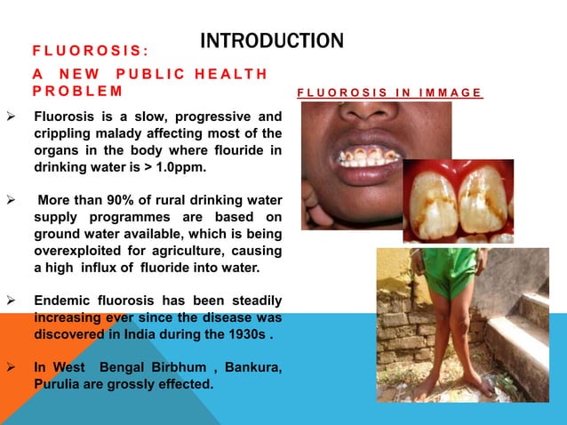 Presentation cmoh bankura | PPT