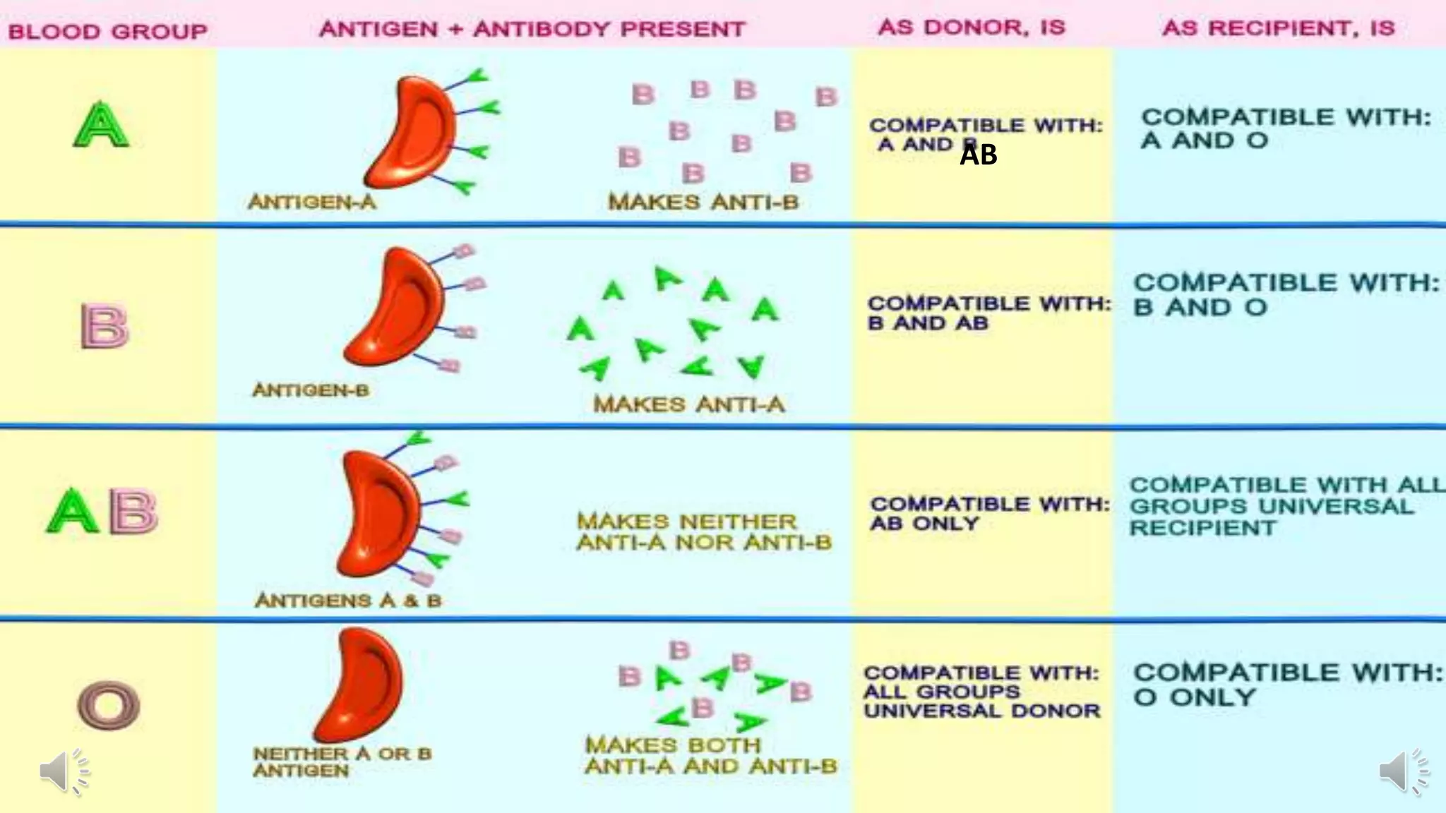 Codominance : Human Blood | PPTX
