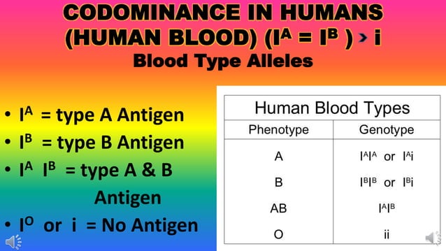 Codominance : Human Blood | PPTX
