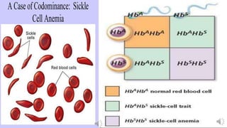 Codominance : Human Blood | PPTX