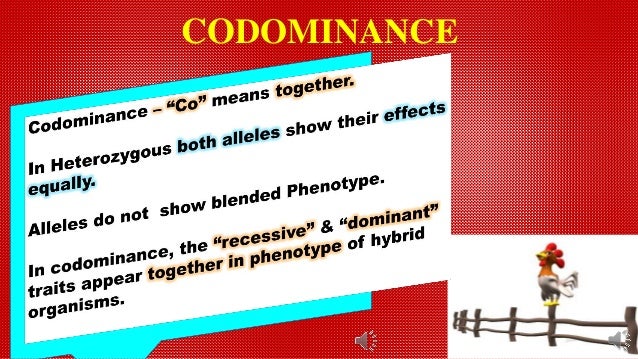 Codominance : Human Blood