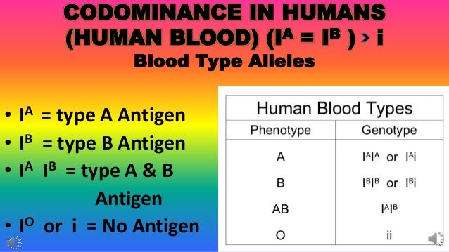 Codominance : Human Blood