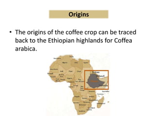 Presentation coffee | PPTX