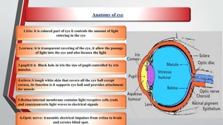 Glaucoma their diagnosis and treatment | PPTX