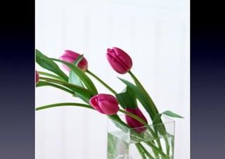 Presentation [Compatibility Mode] | PDF