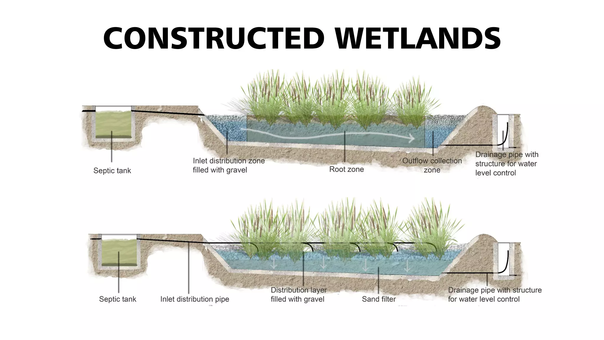 Constructed Wetlands applied to the region of Curitiba and Paraná | PDF