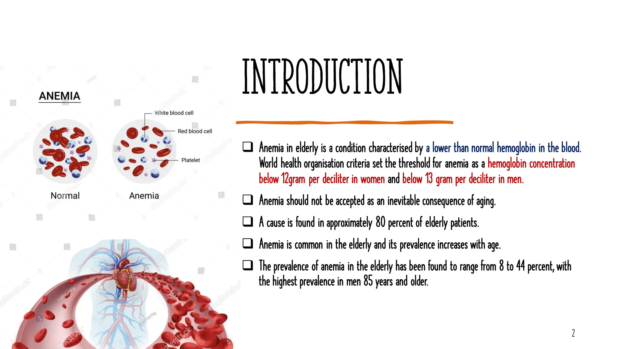ANEMIA IN ELDERLY slideshare ppt | PDF