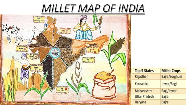 THE MILLETS | PPTX | Agriculture | Industries
