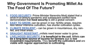 THE MILLETS | PPTX