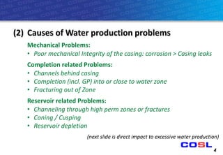 PresentationCOSLWaterCOntrol-PPEJ.pptx | Chemistry | Science