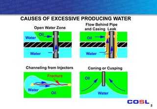 PresentationCOSLWaterCOntrol-PPEJ.pptx | Chemistry | Science