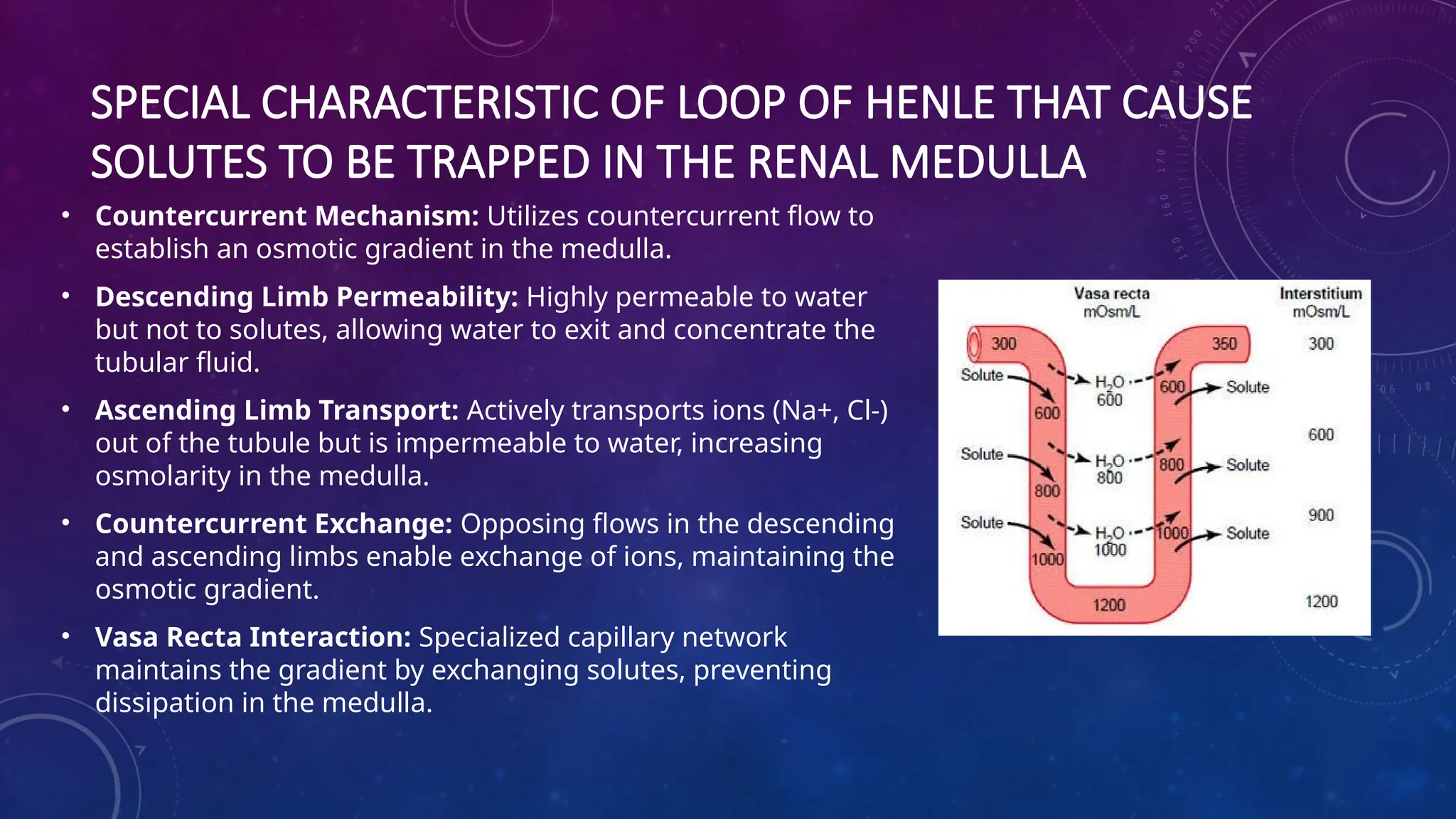 Countercurrent Exchange Presentation counter.pptx