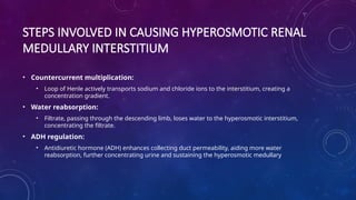 Countercurrent Exchange Presentation counter.pptx