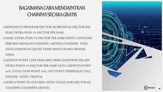 Presentation Hectortrade Chainpay | PPTX | Internet | Computing