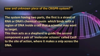 CRISPER-Cas9 | PPTX