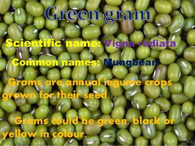 crop Green Gram