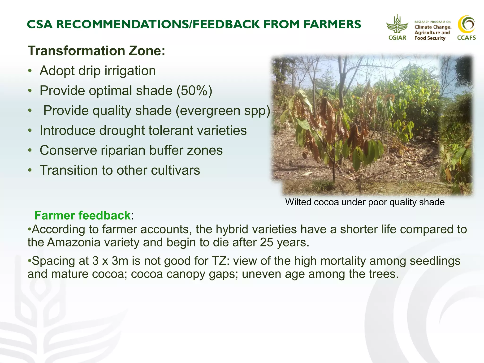 CSA recommendations for cocoa in Ghana | PDF