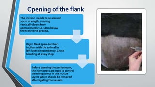 Presentation c section.pptx