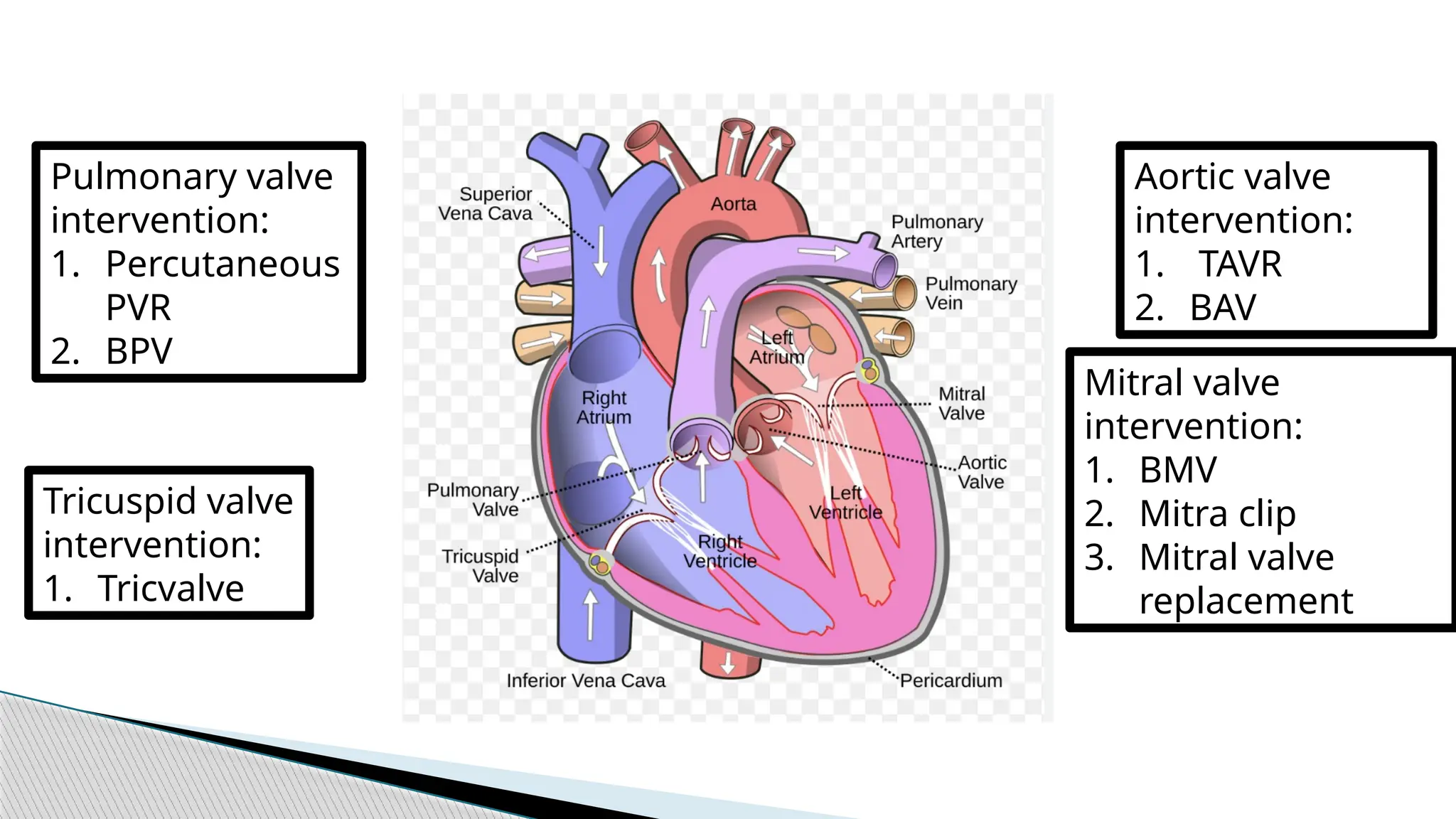 presentation Current Status Of Percutaneous Heart Valve Implantation.pptx