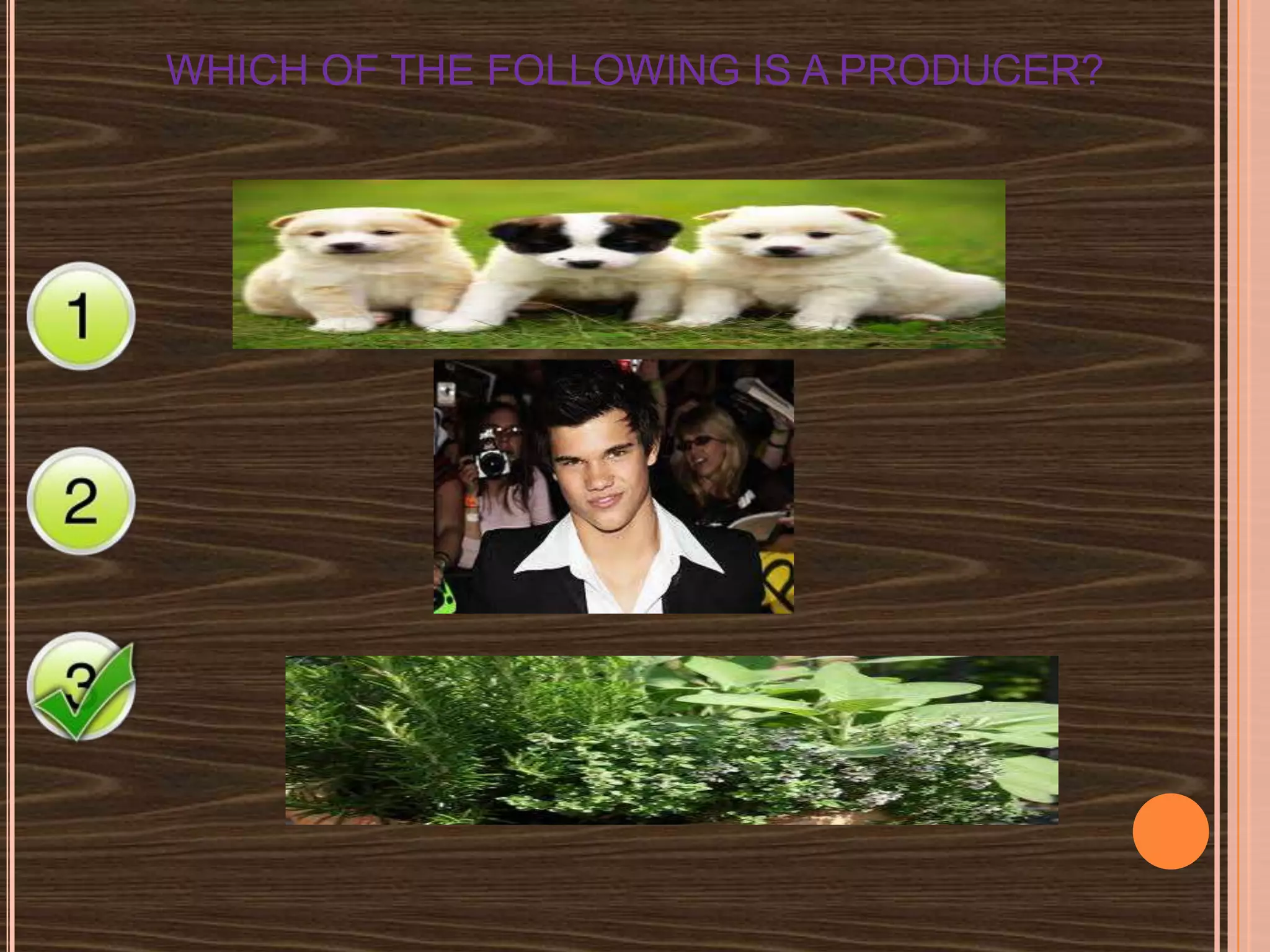 Presentation cynthia dc. ferrera | PPTX