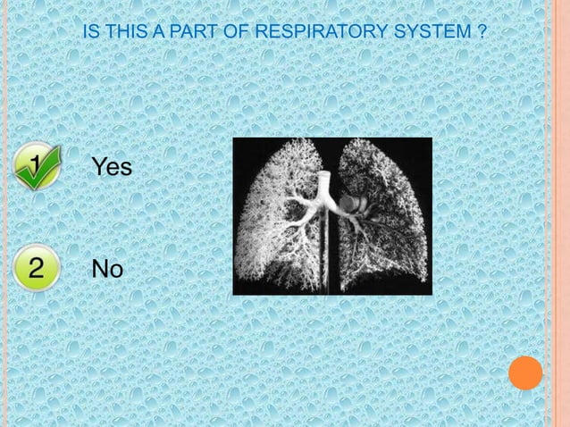 Presentation cynthia dc. ferrera | PPTX